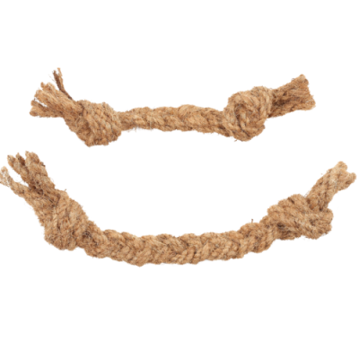 EXPAD - expad.com.vn